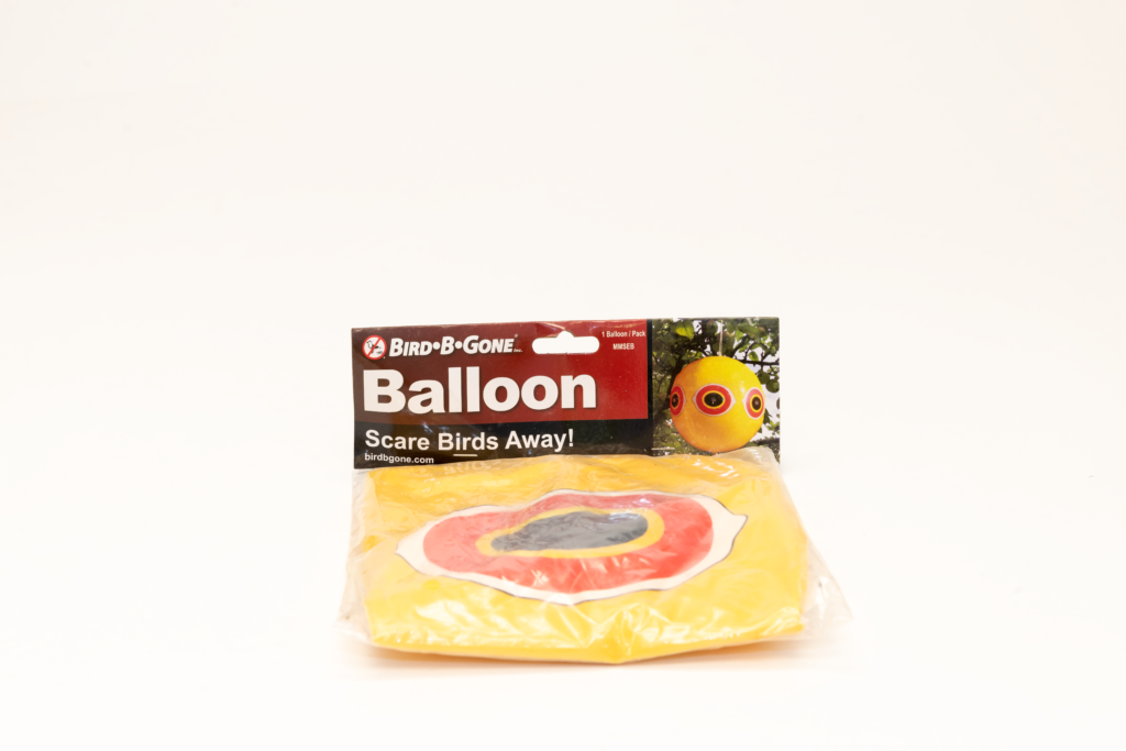 Balloon - Cranbrook Pest Control